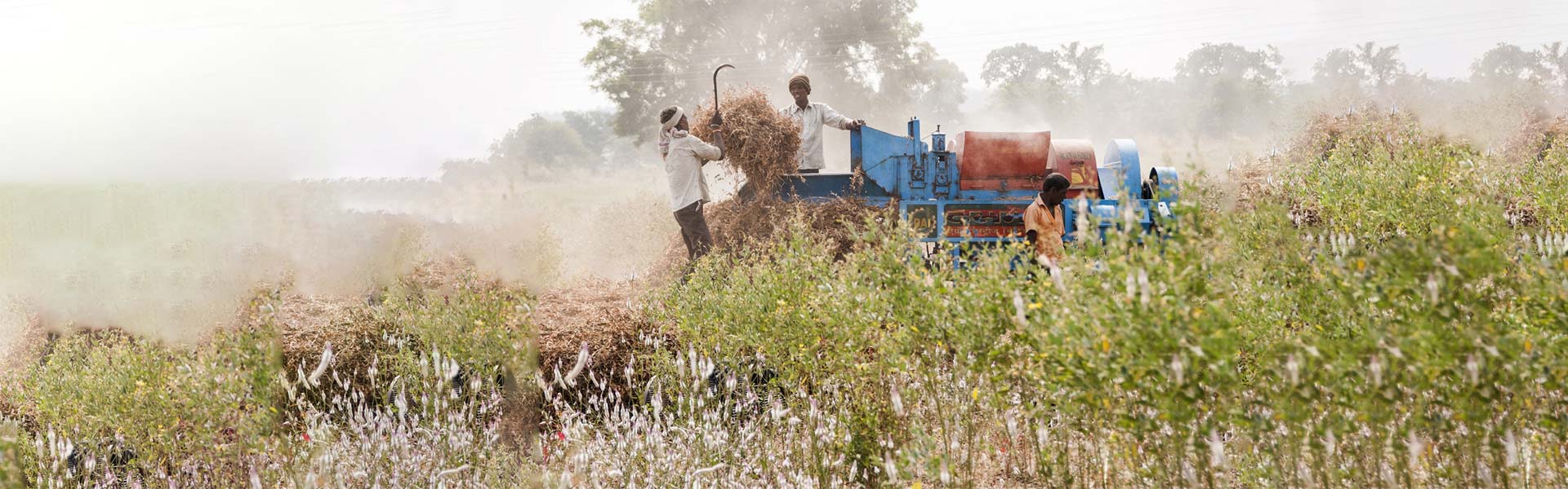 Is the World's Largest Public Workfare Programme Crowding Out Private ...